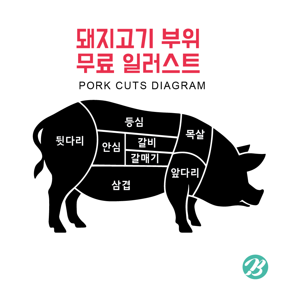 돼지고기 부위 일러스트 ai 무료다운로드 - pork illustration - 어반브러시