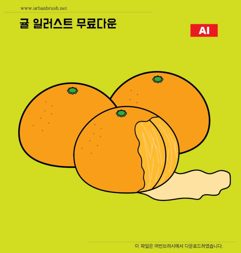 귤 일러스트 ai 무료다운로드 - tangerine illustration - 어반브러시