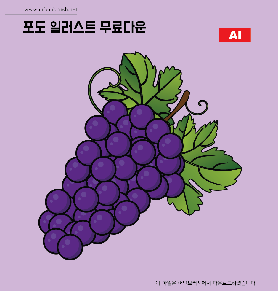 포도 일러스트 ai 무료다운로드 - grape illustration - 어반브러시